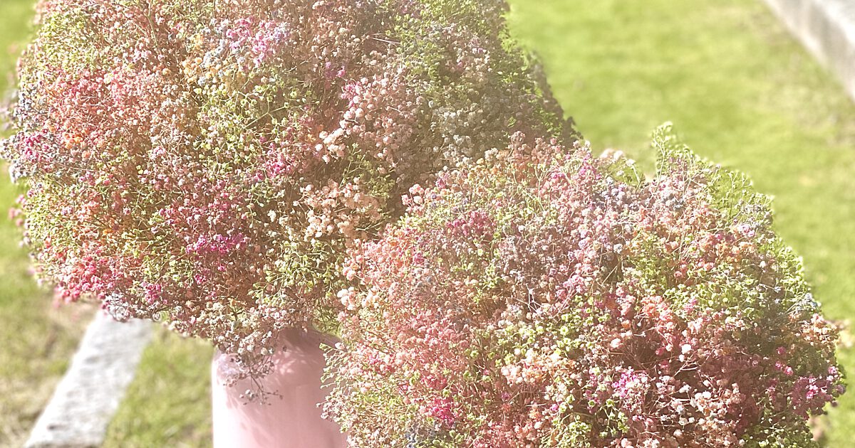 GYPSOPHIL DE LUXE large | Alena Van Belle